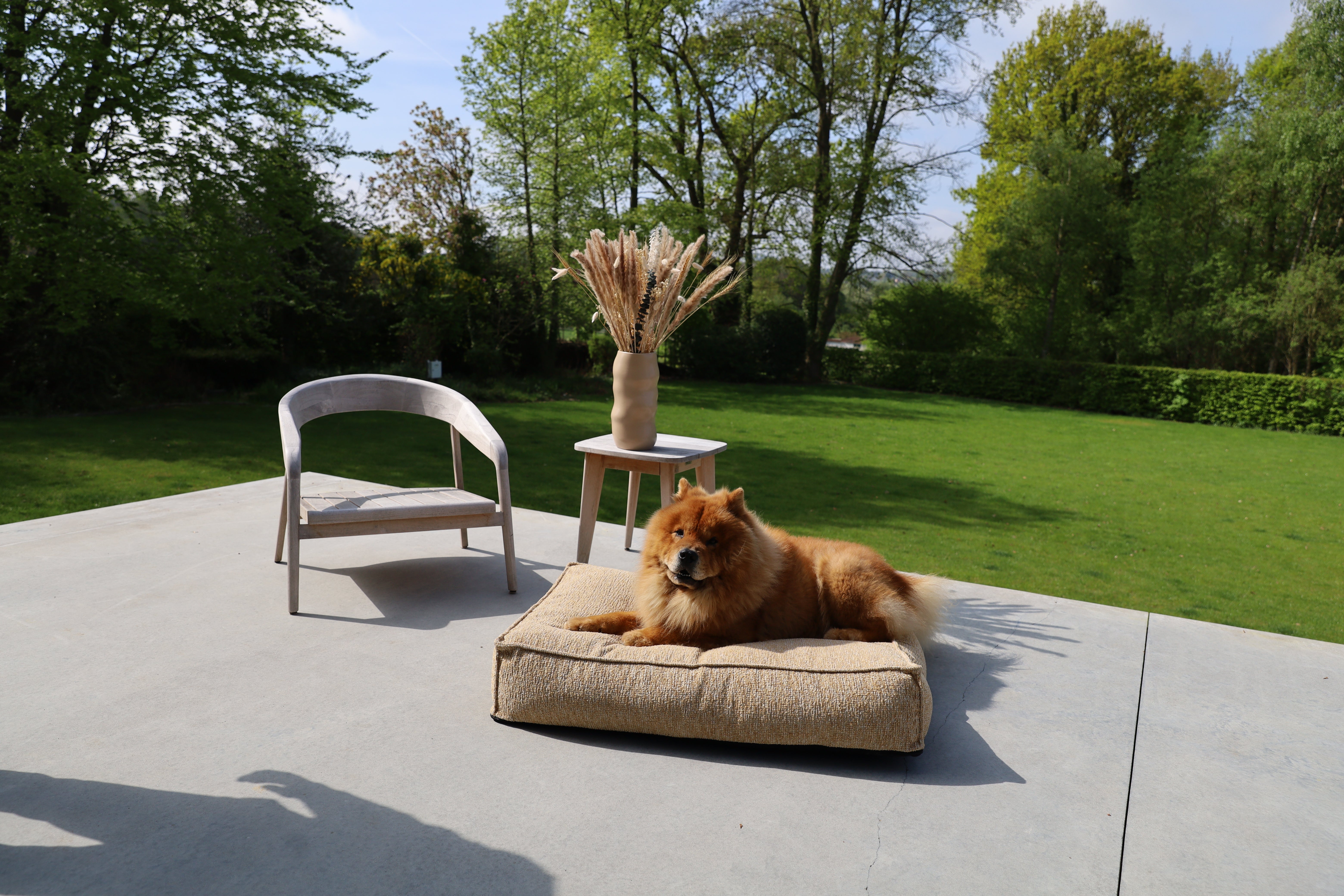 Limited Edition Honey Nap Dog Bed & Cover – Fantail.eu