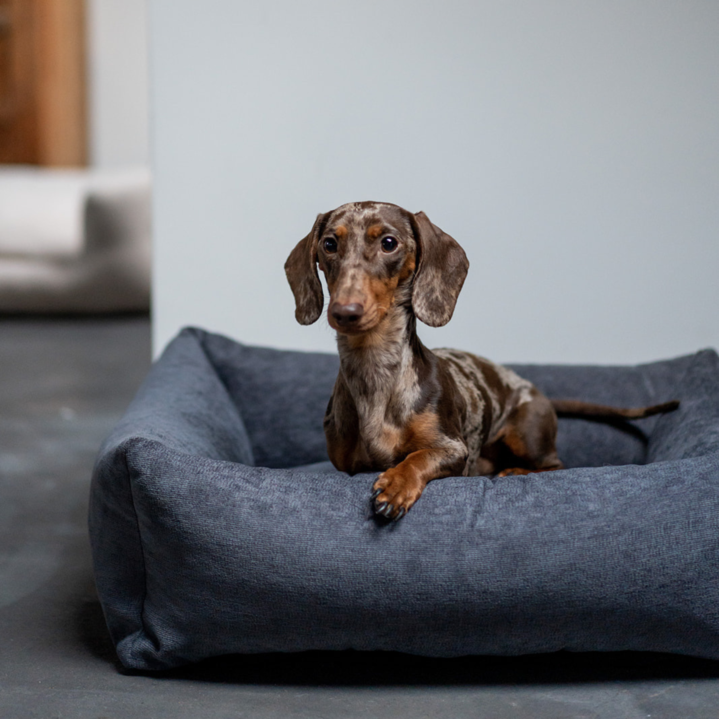 Mellow Dog Beds | Ultra-Soft, Washable & Low-Maintenance – Fantail.eu