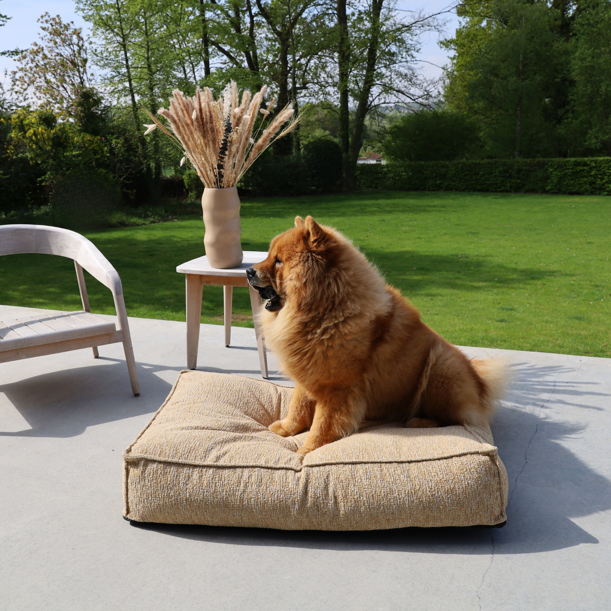 Snooze Limited Edition Honey Nap – Fantail.eu