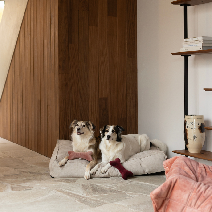 Fantail - design & lifestyle for dogs & cats – Fantail.eu