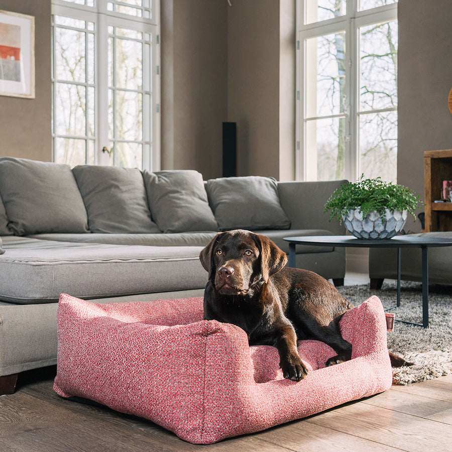 Fantail - design & lifestyle for dogs & cats – Fantail.eu