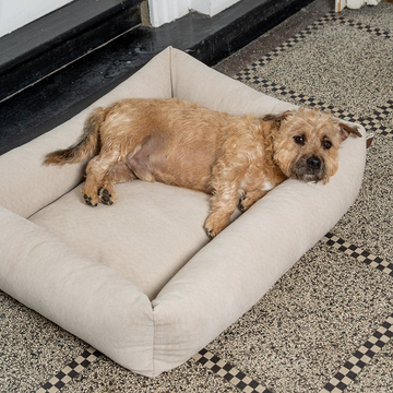 Fantail - design & lifestyle for dogs & cats – Fantail.eu