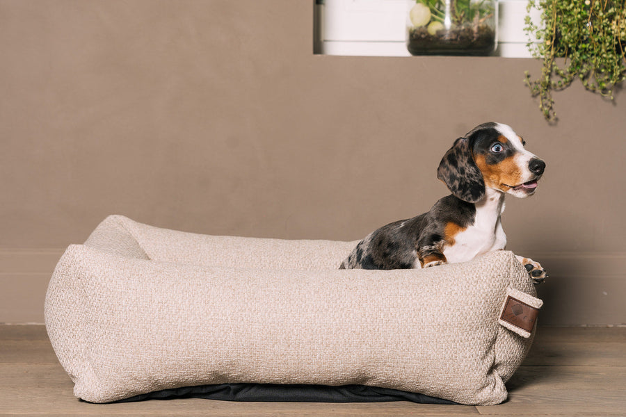 Fantail - design & lifestyle for dogs & cats – Fantail.eu