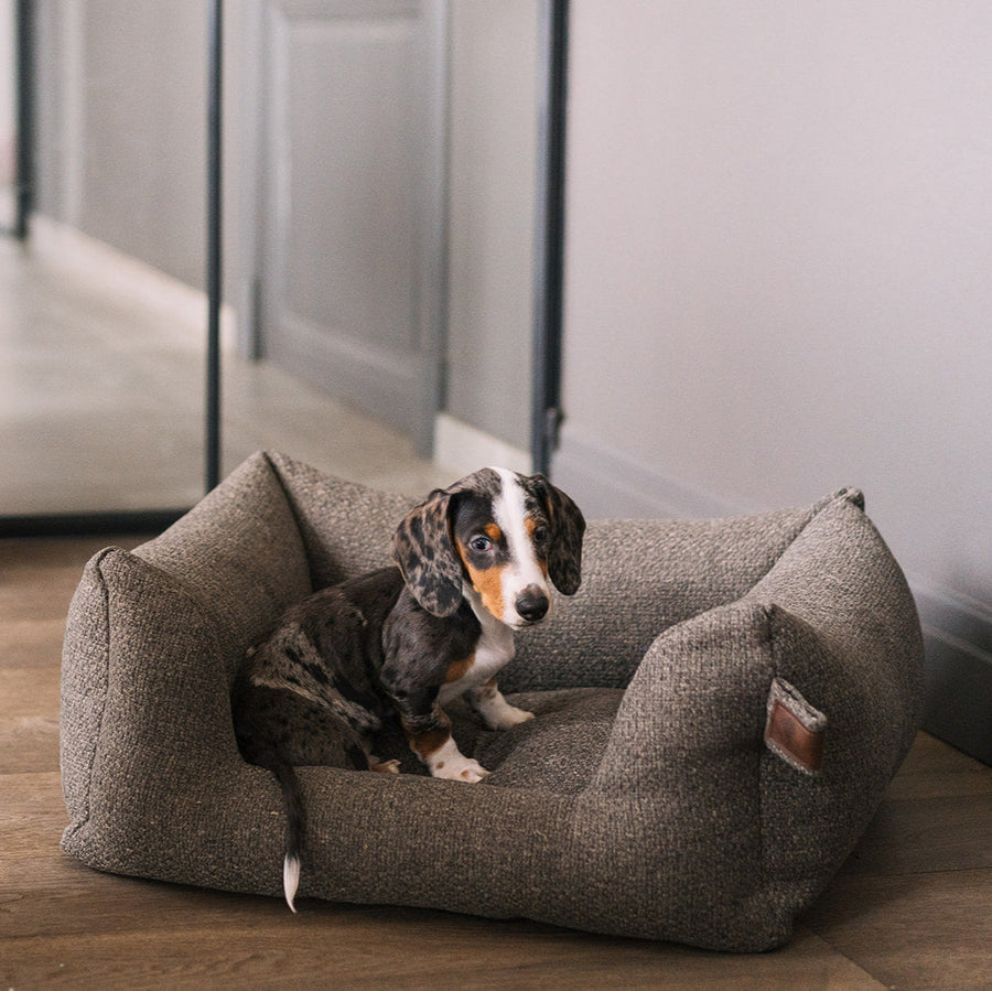 Fantail - design & lifestyle for dogs & cats – Fantail.eu