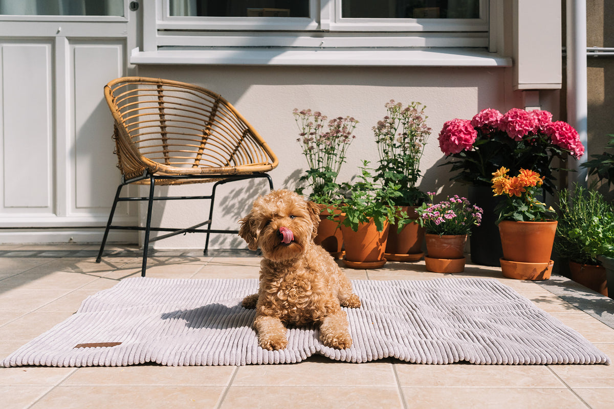 Fantail - design & lifestyle for dogs & cats – Fantail.eu