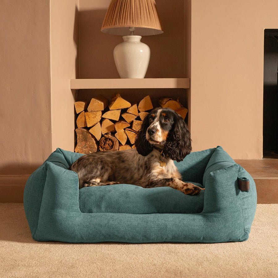 Dog – Fantail.eu