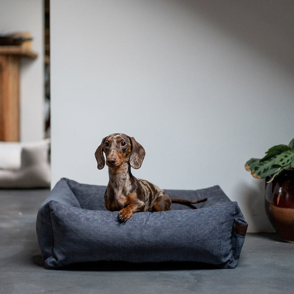 Snug Mellow Dog Bed Smoke Grey | Orthopedic Bolster Bed for Dogs ...
