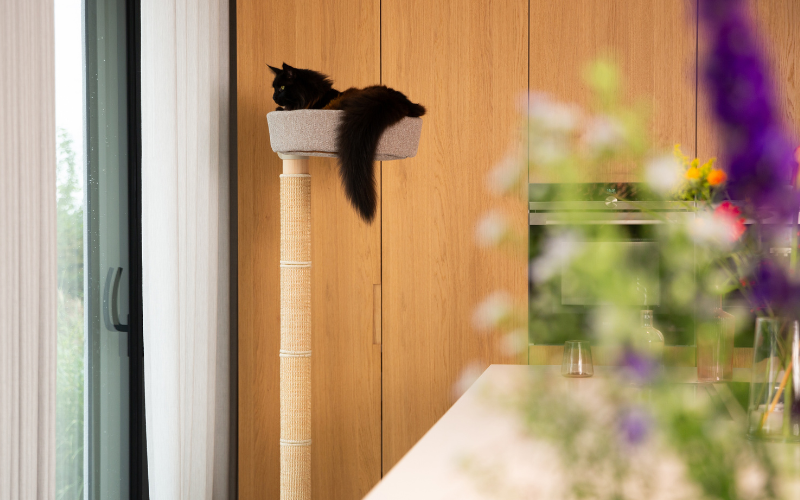 Fantail - design & lifestyle for dogs & cats – Fantail.eu