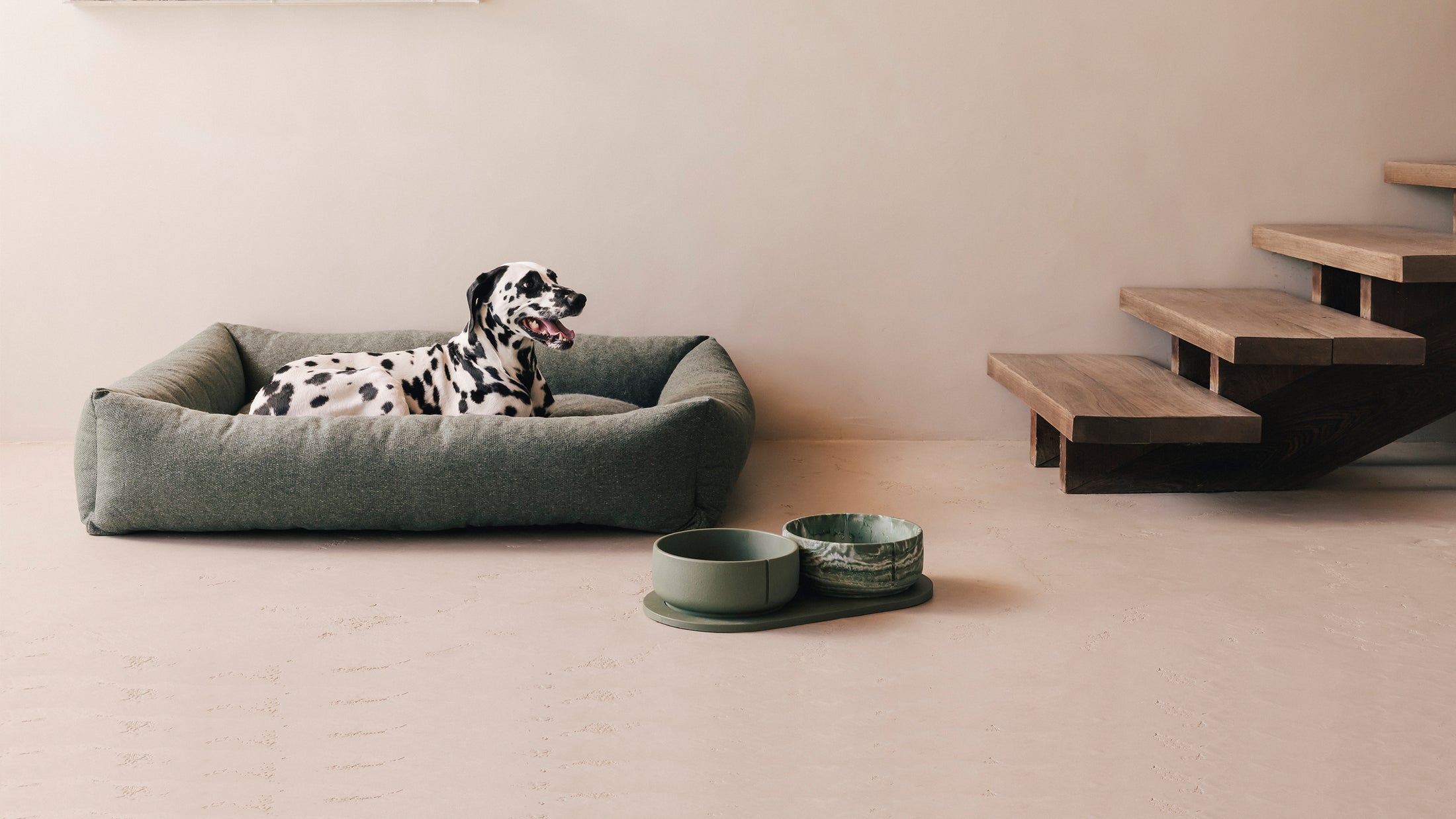 Fantail - design & lifestyle for dogs & cats – Fantail.eu